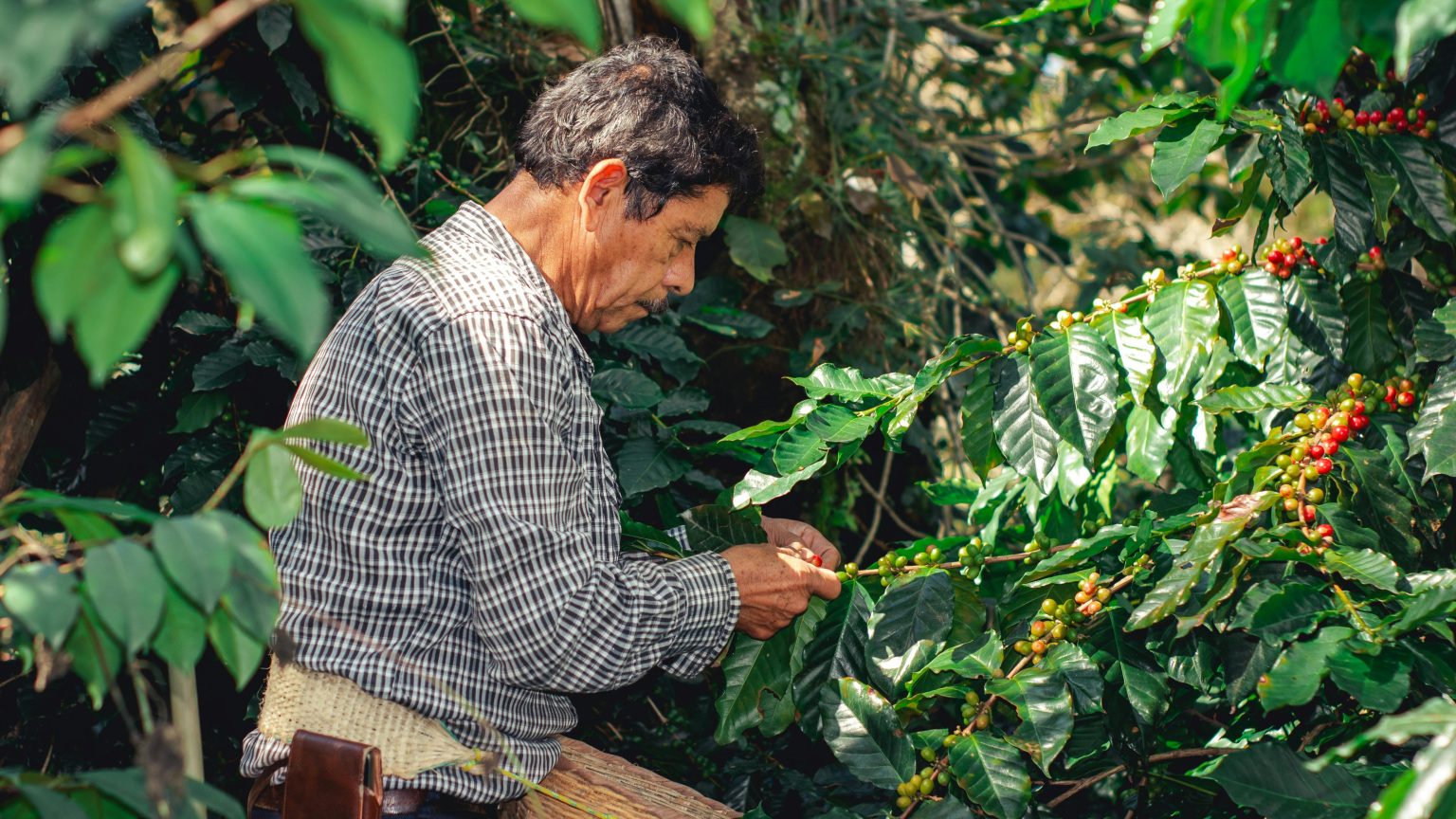 6 Best Coffee Shops in Lima Peru: A Local's Guide